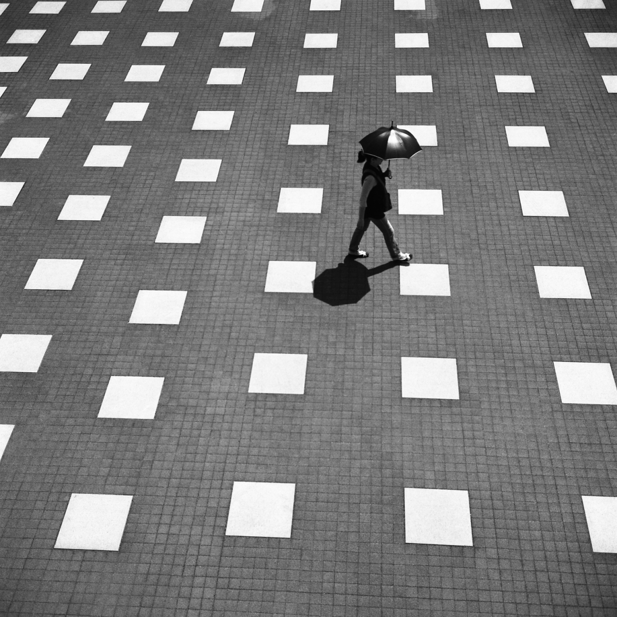 Dotted line area | 寫眞の音 Rolleiflex Photography