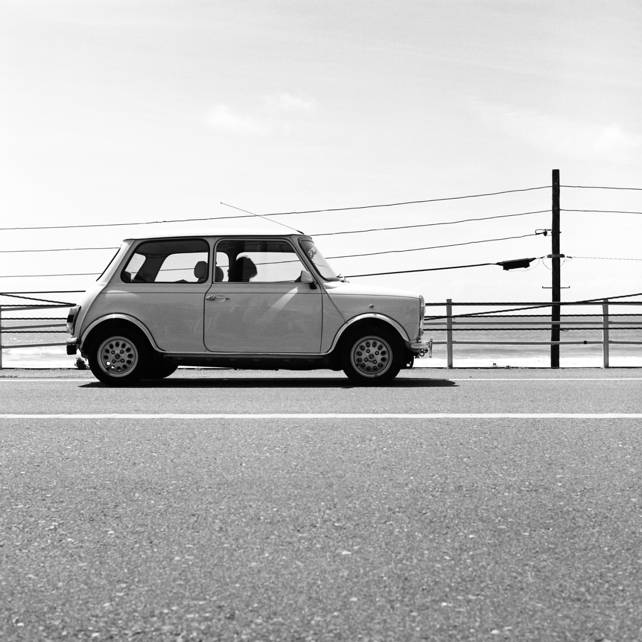 Maxwell screen | 寫眞の音 Rolleiflex Photography