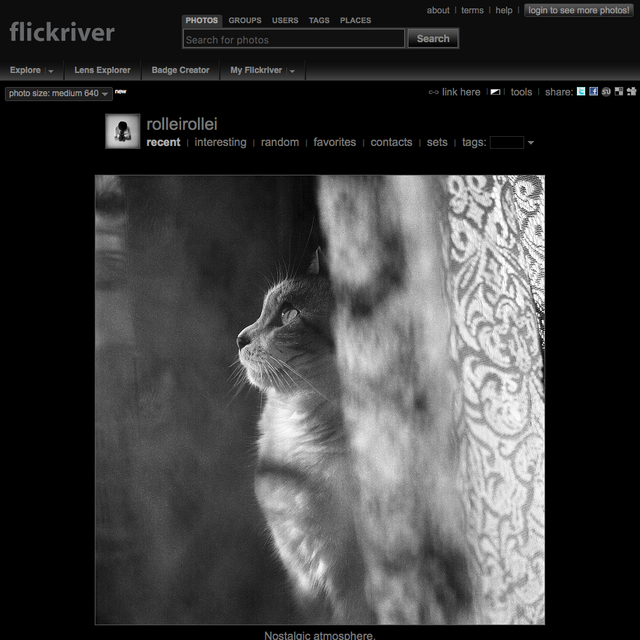 Flickriver. | 寫眞の音 Rolleiflex Photography